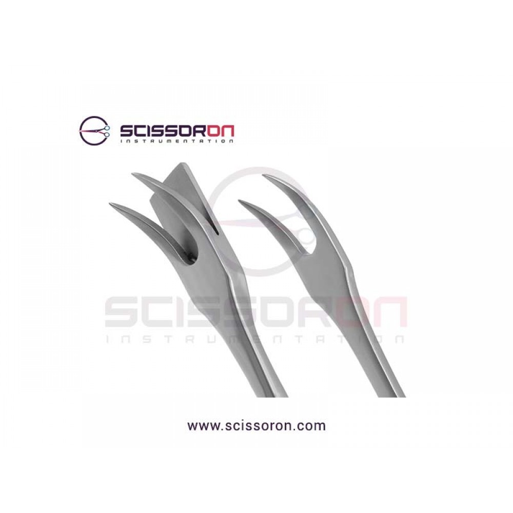 Lockwood Abdominal Demarcator Flap Large Forceps