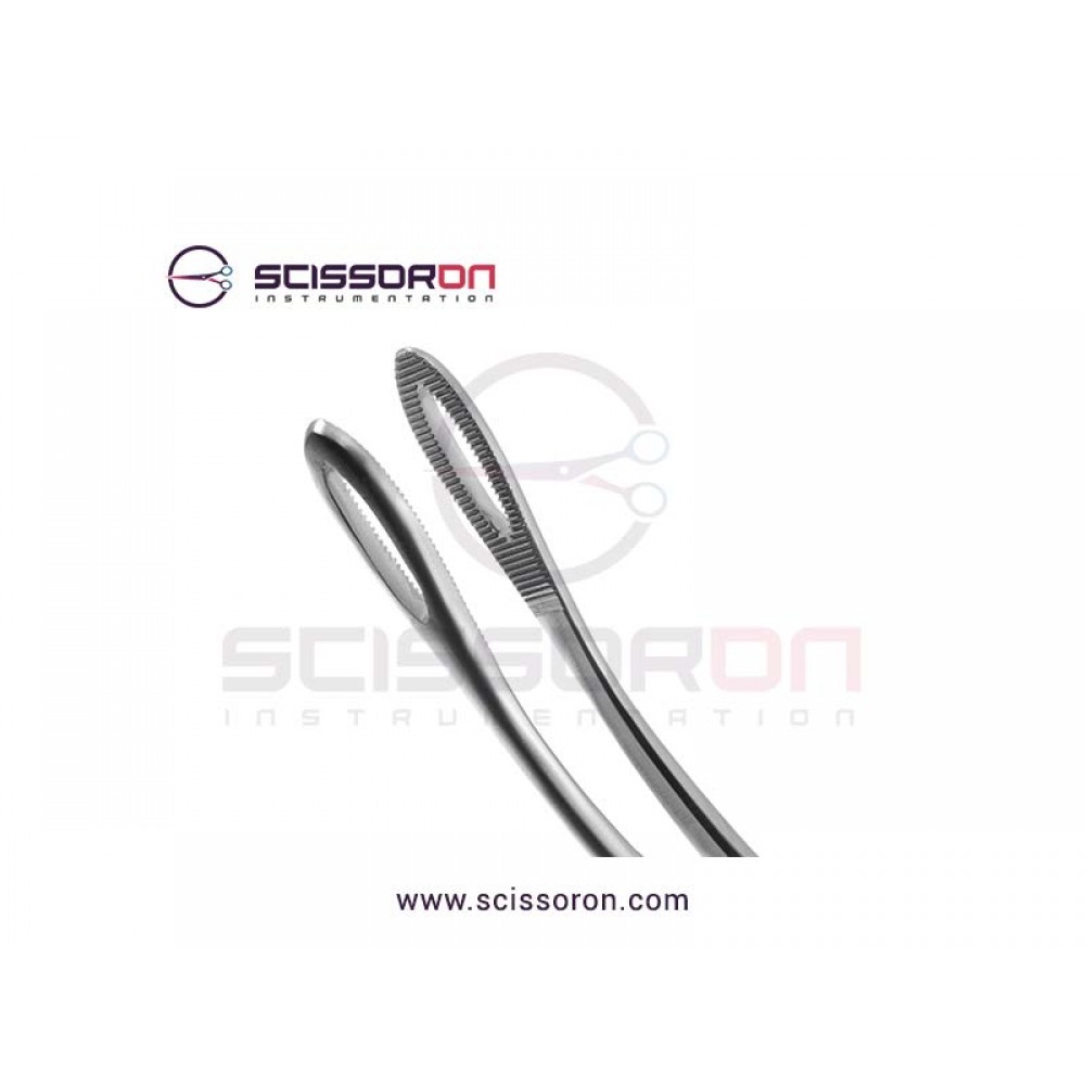 Fletcher Sponge Holding Forceps Curved Jaws