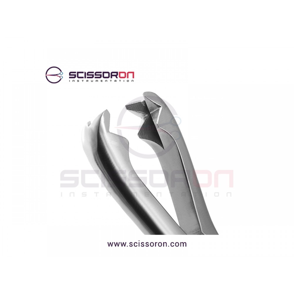 Ferguson Bone Holding Forceps