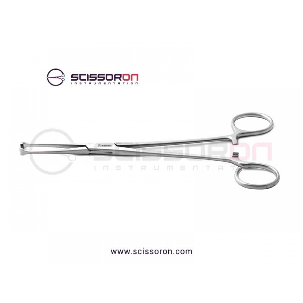 Allis-Coakley Tonsil Forceps Straight