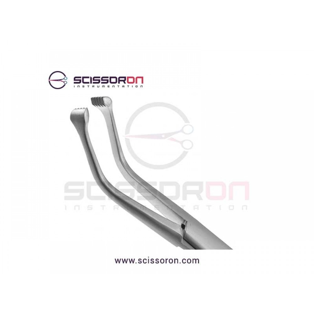 Allis-Coakley Tonsil Forceps Strongly Curved