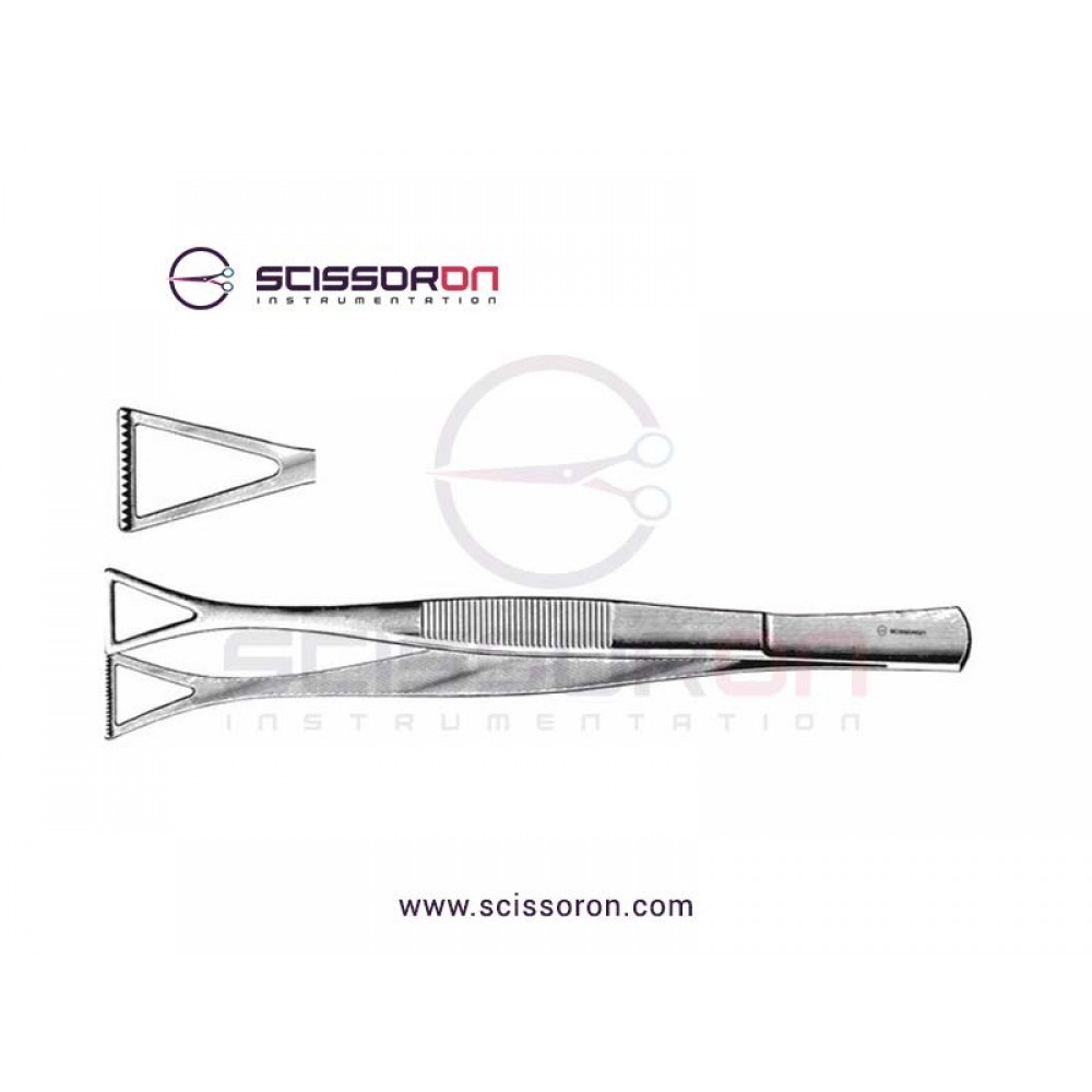 Collin-Duval Intestinal Forceps