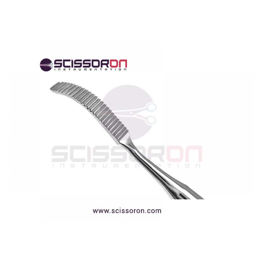 Miller Bone File #52