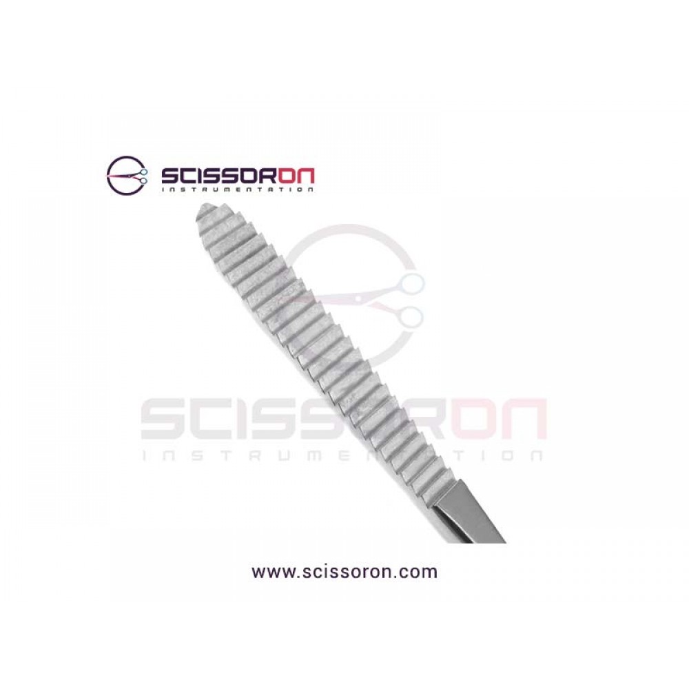 Brown Rasp Forward Cutting