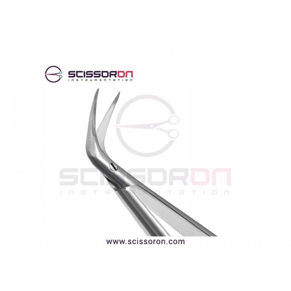 Rhoton-Type Microvascular Scissor Angled Right Blades