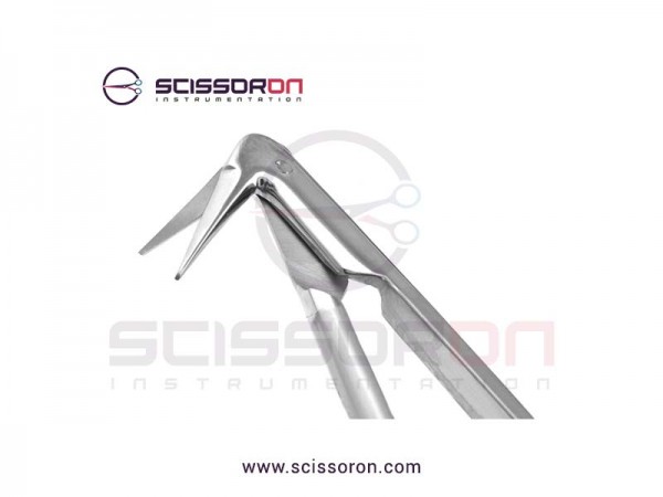 Microsurgical Scissors